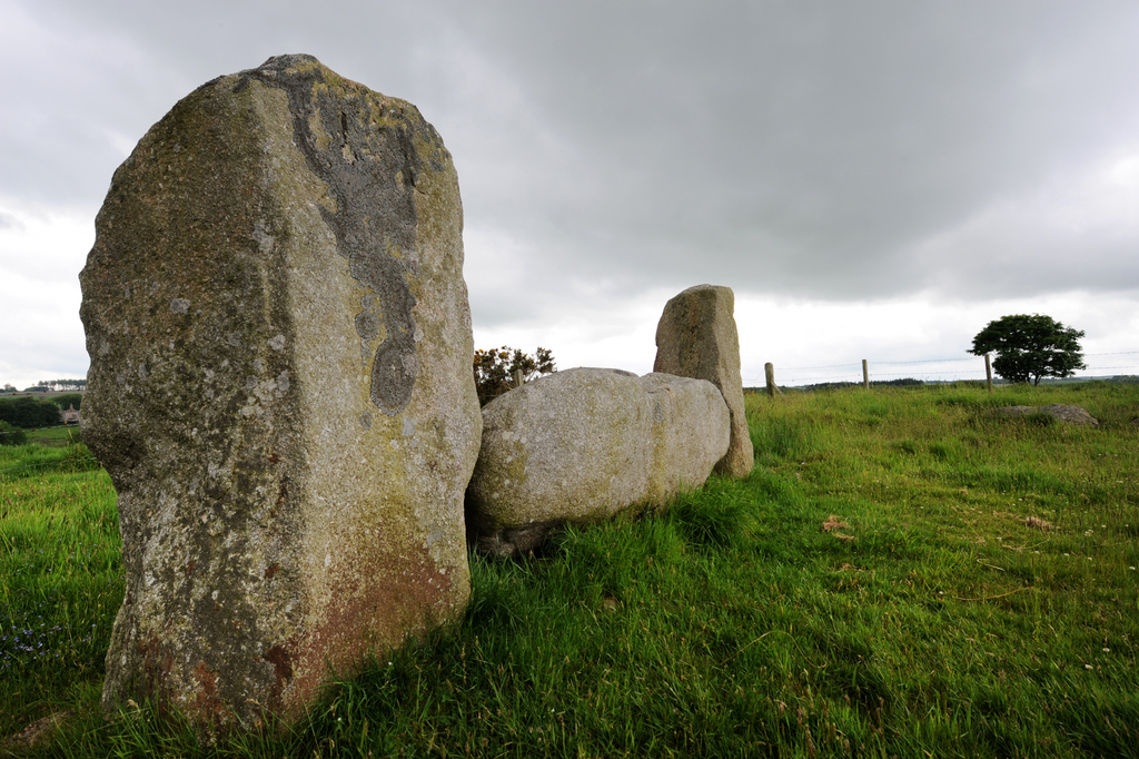 Stone Circles | Aden Country Park - Prehistoric Landmarks