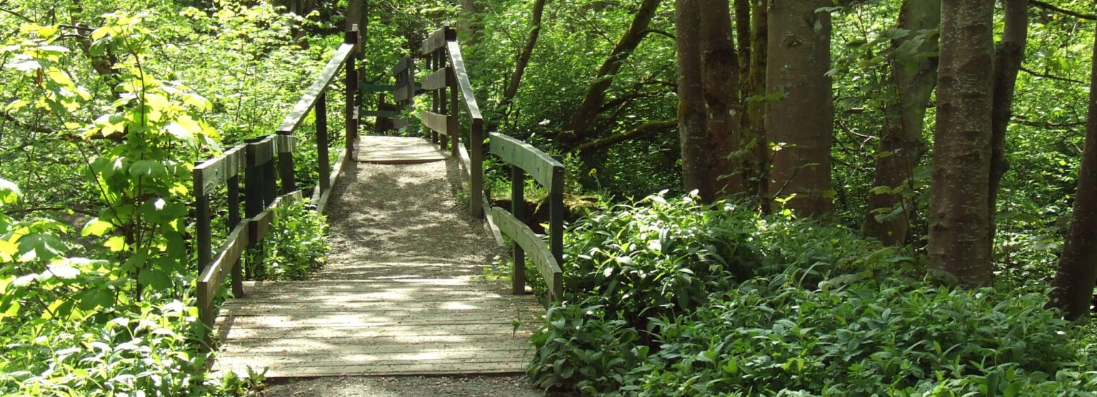 Visitor Information | Aden Country Park - Information and Help