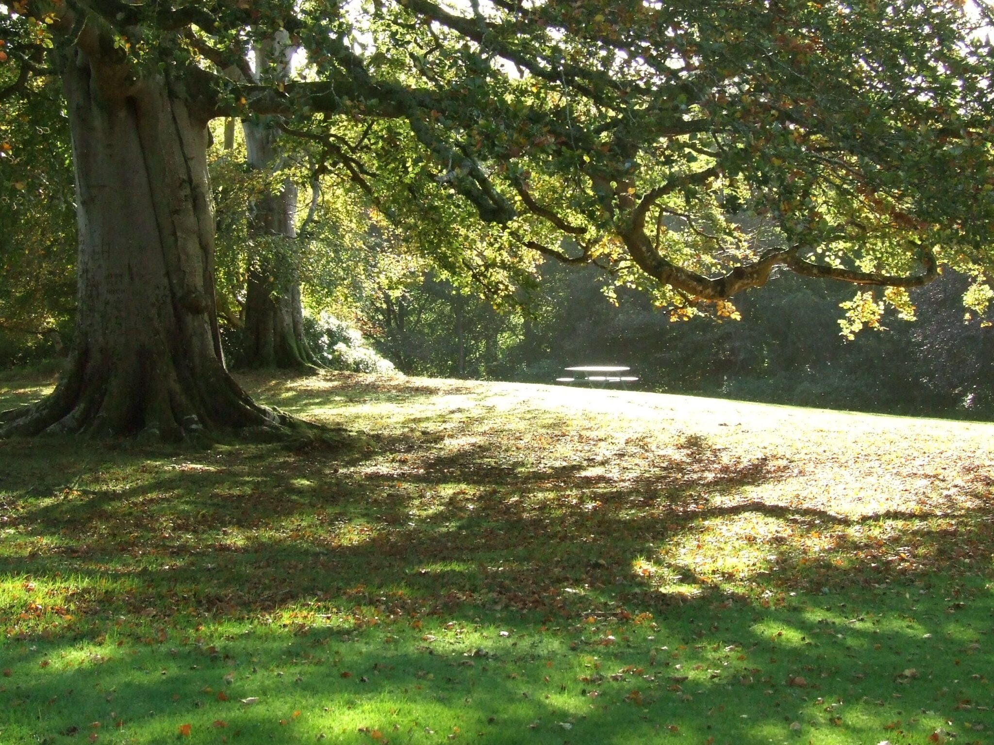 Newsletter | Aden Country Park