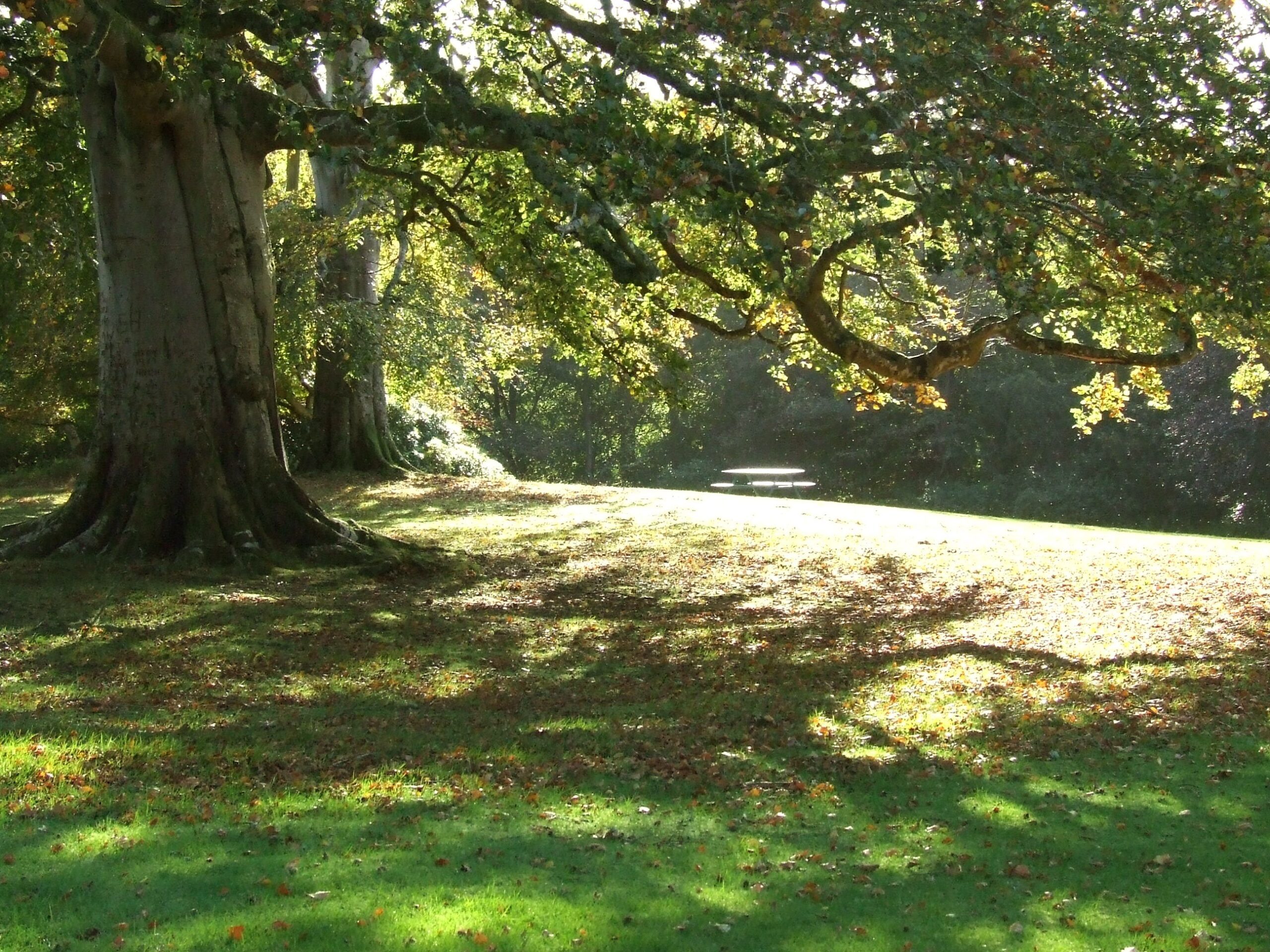 Newsletter | Aden Country Park