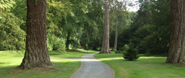 Walks, Tours & Trails | Aden Country Park - Private Guided Walks